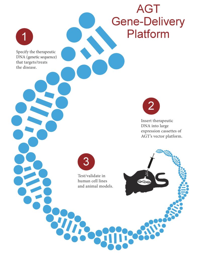 AGT's Rapid Drug Development Process: The Power of the Lentiviral ...
