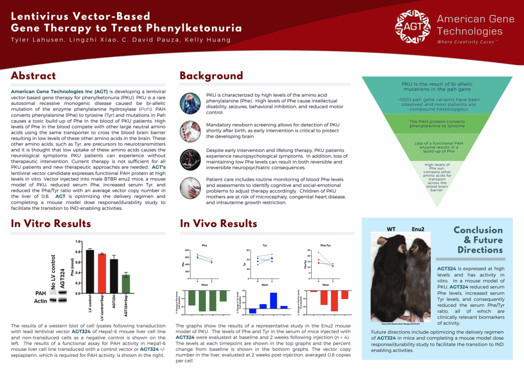 Lentivirus Vector-Based Gene Therapy to Treat Phenylketonuria ...