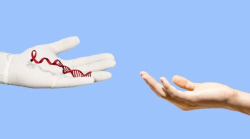 Why is It Hard to Cure HIV? Is HIV Curable?