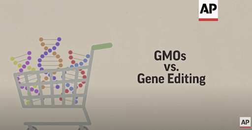 What Is Gene Editing? How Does CRISPR Work?