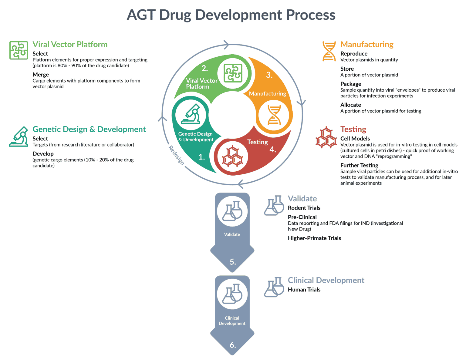 Our Progress with Gene Technology | AGT