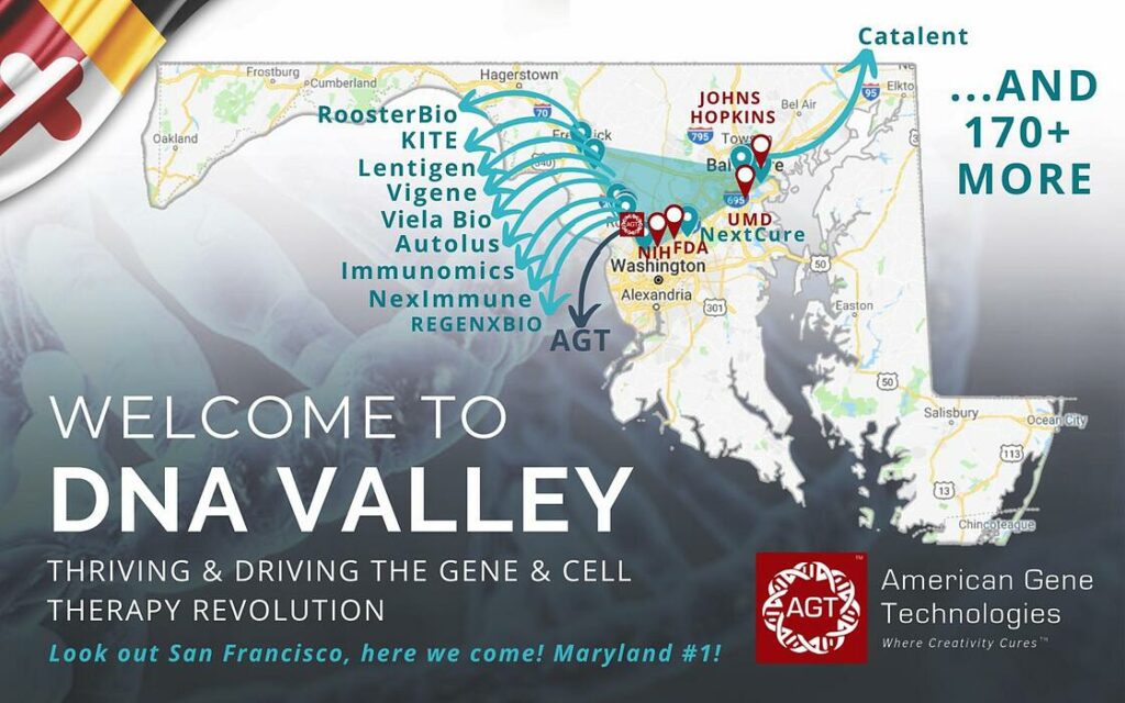 Our Progress in Gene and Cell Therapy | AGT Newsletter Vol 11