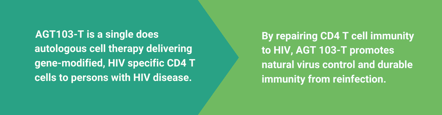 Our Approach to an HIV Cure | HIV Gene Therapy - American Gene Technologies