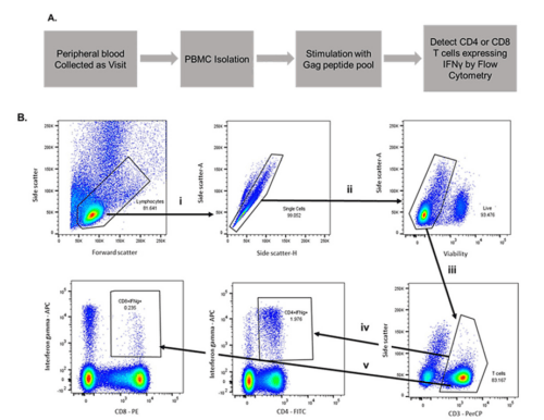 AGT's AGT103-T Phase 1 HIV Clinical Trial Data Published in Frontiers ...